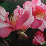 Paintings - Sussanne Morton